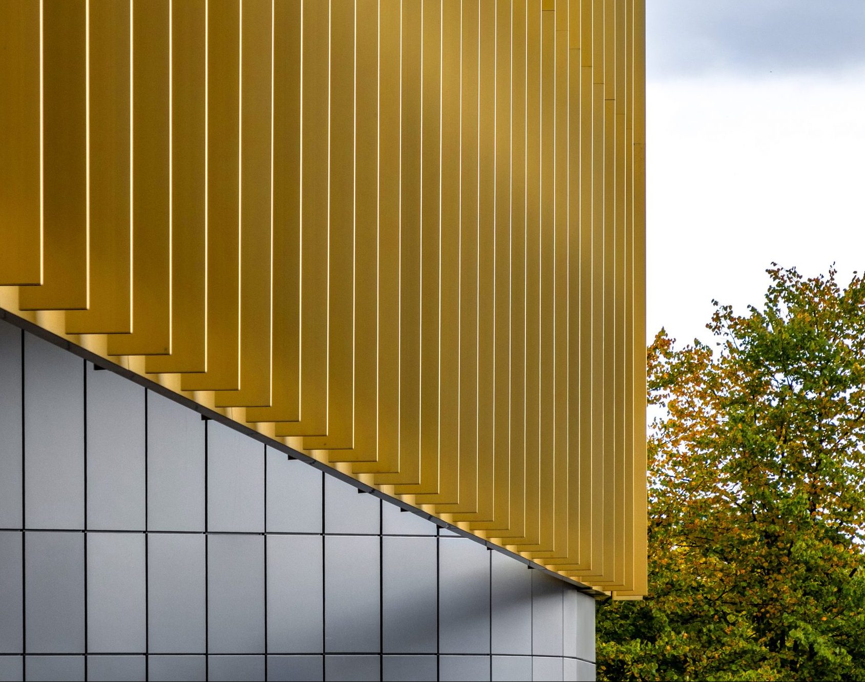 Home - Day Architectural Ltd
